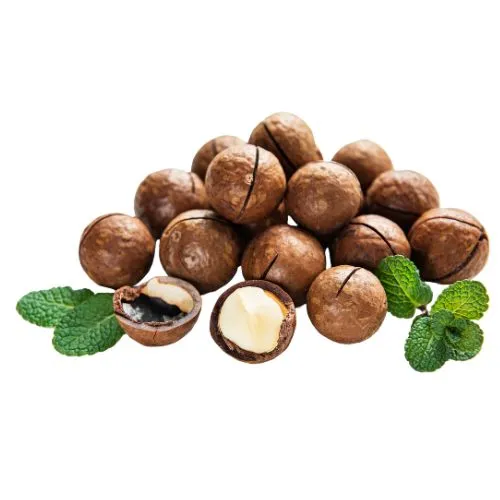 Organic Bambara Nuts For Sale | Fresh African Bambara Nuts