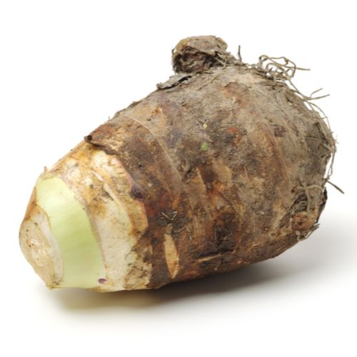 Shop Fresh African Cocoyam for Your Traditional Dishes