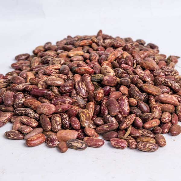 Bulk Striped Kidney Beans | 100% Dried & Tasty Beans Online