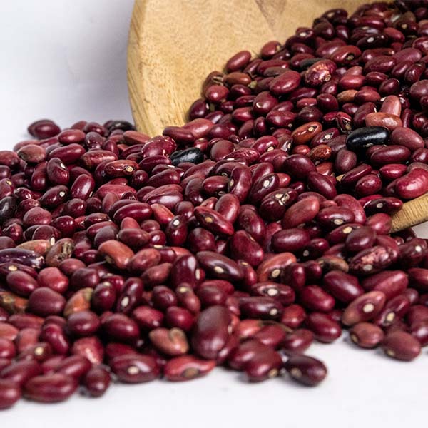 Buy Certified Organic Small Red Beans | Rich Taste & Protein