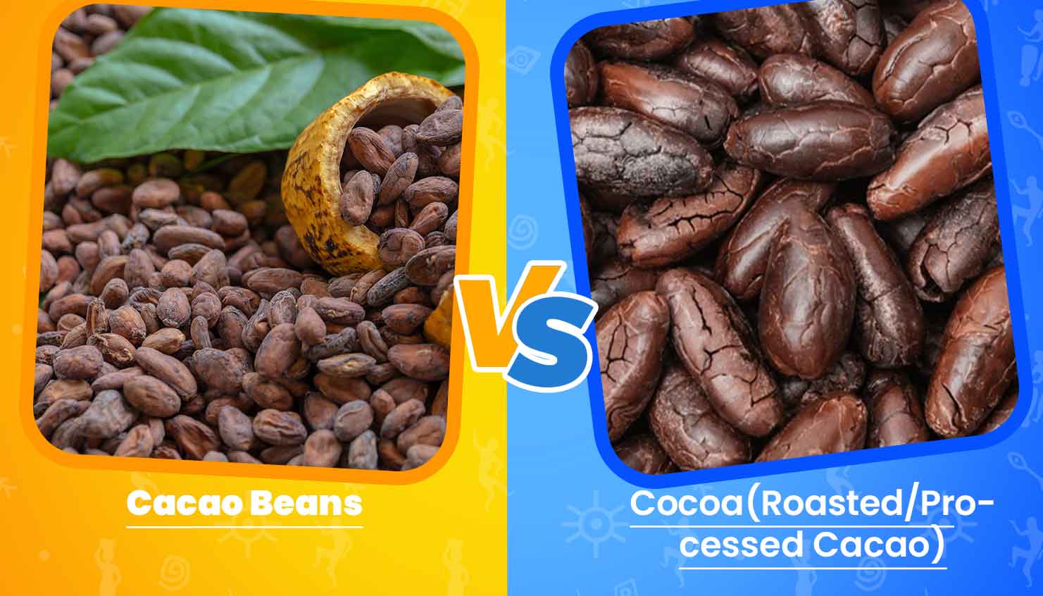 Cacao vs. Cocoa: Todas las diferencias clave que necesitas saber
